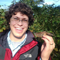 Dunkadoo Is Live! Watch the Spring Migration Online