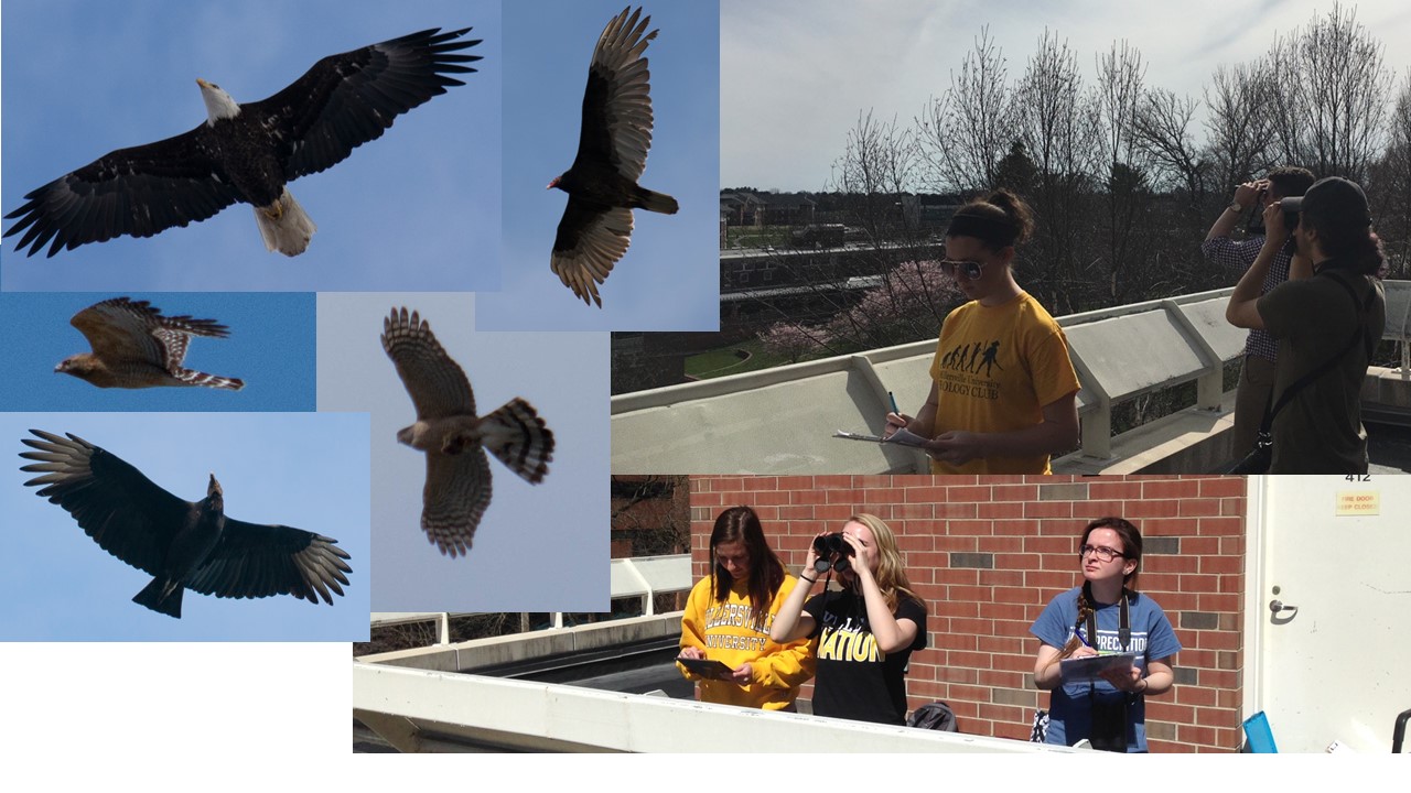 Project "Spooky Action" - Dunkadoo